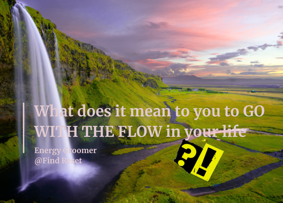 What does it mean to you to GO WITH THE FLOW in your life? | Find Reset